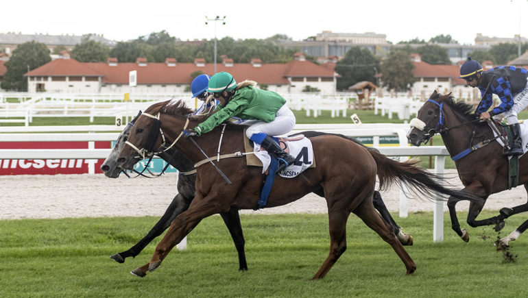 Riderline | A galopp sampionjai: zsoké és idomár