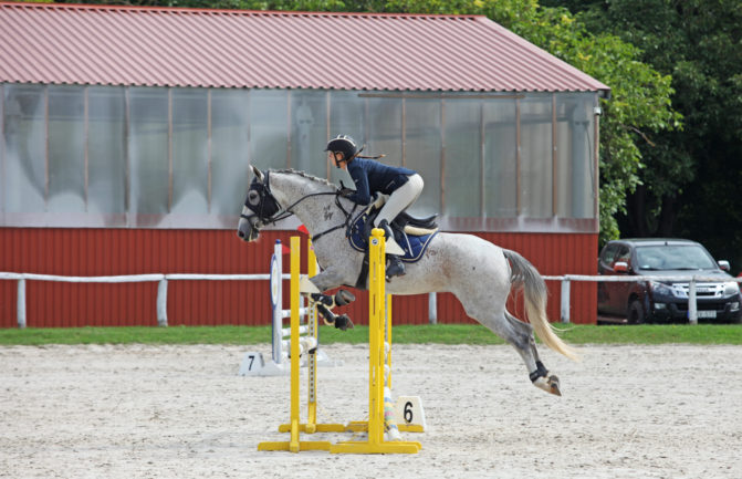 Riderline | Derengő