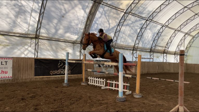 Riderline | Caitha D’ Elsendam Z