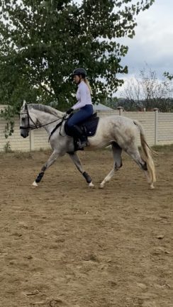 Riderline | Kincsem Mágus