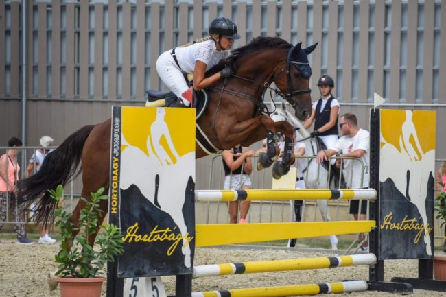 Riderline | Royal Heart