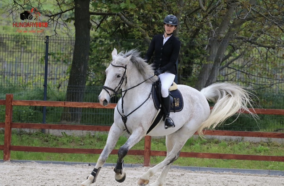 Riderline | Kormorán